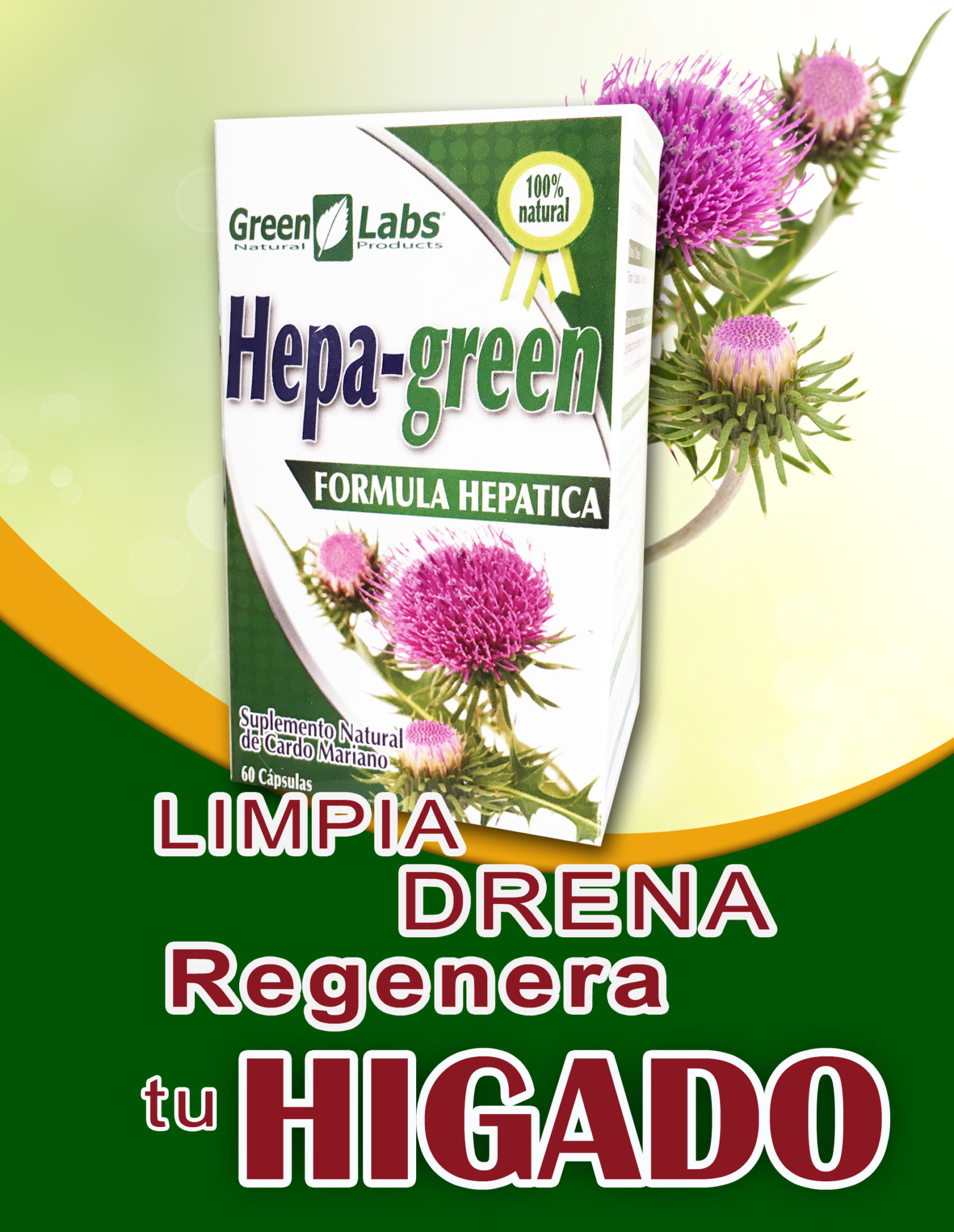 4 Mitos de las enfermedades del Hígado que crees sufres y NO son ...
